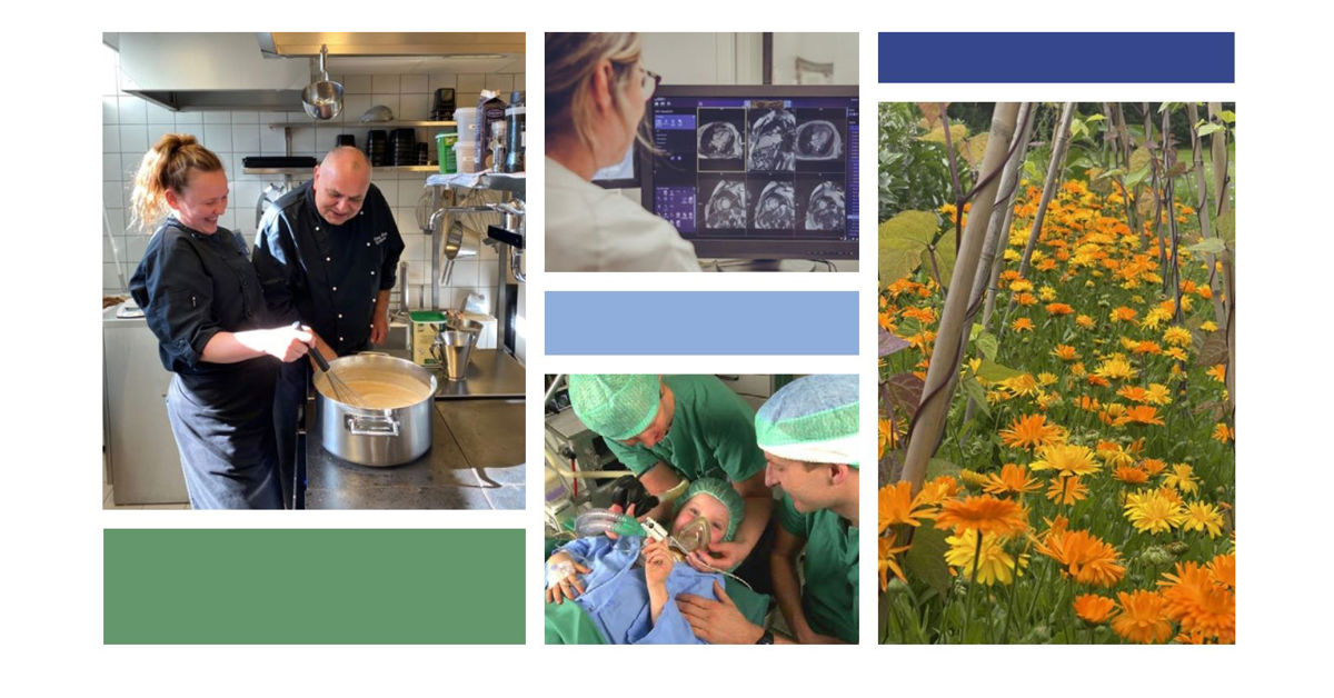 Spesialisthelsetjenestens rapport om samfunnsansvar - Helse Nord RHF